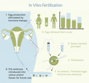 Preimplantation Genetic Screening For All 24 Chromosomes By Microarray ...